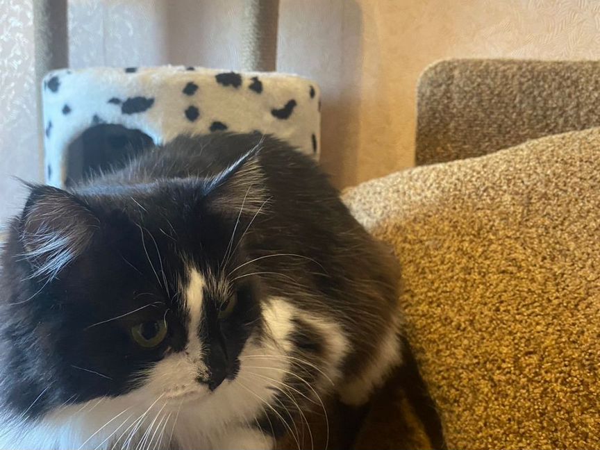 Дарси ждёт семью