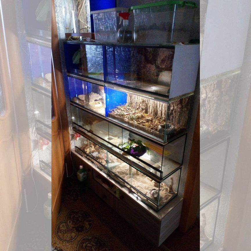 Продам терариумы