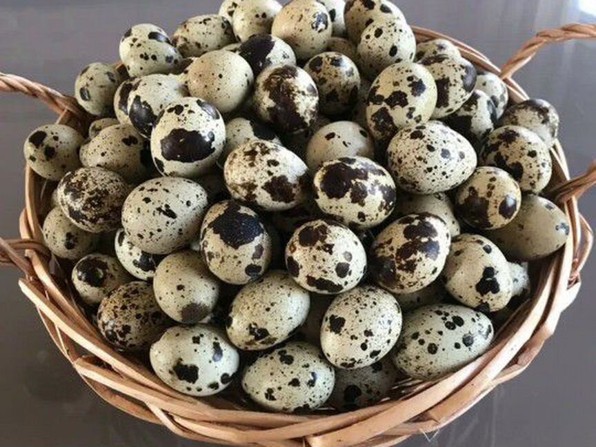 Яйца перепелиные