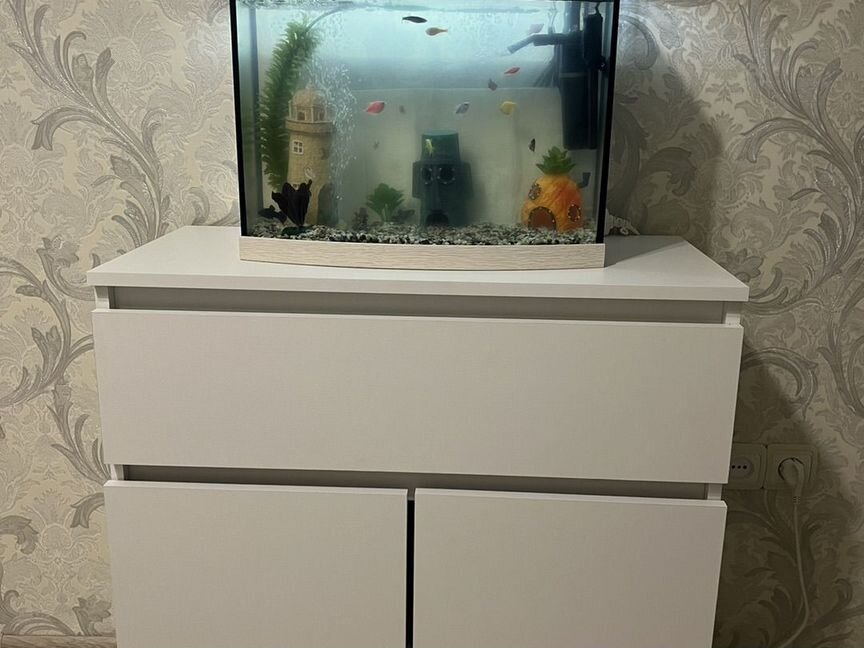 Аквариум со всем что нужно