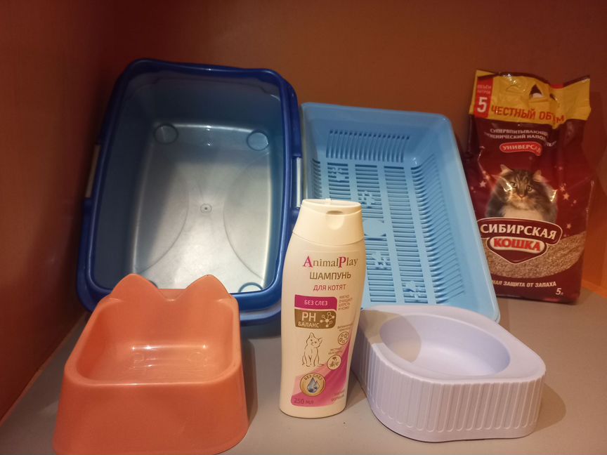 Сибирская кошка набор для Питомца