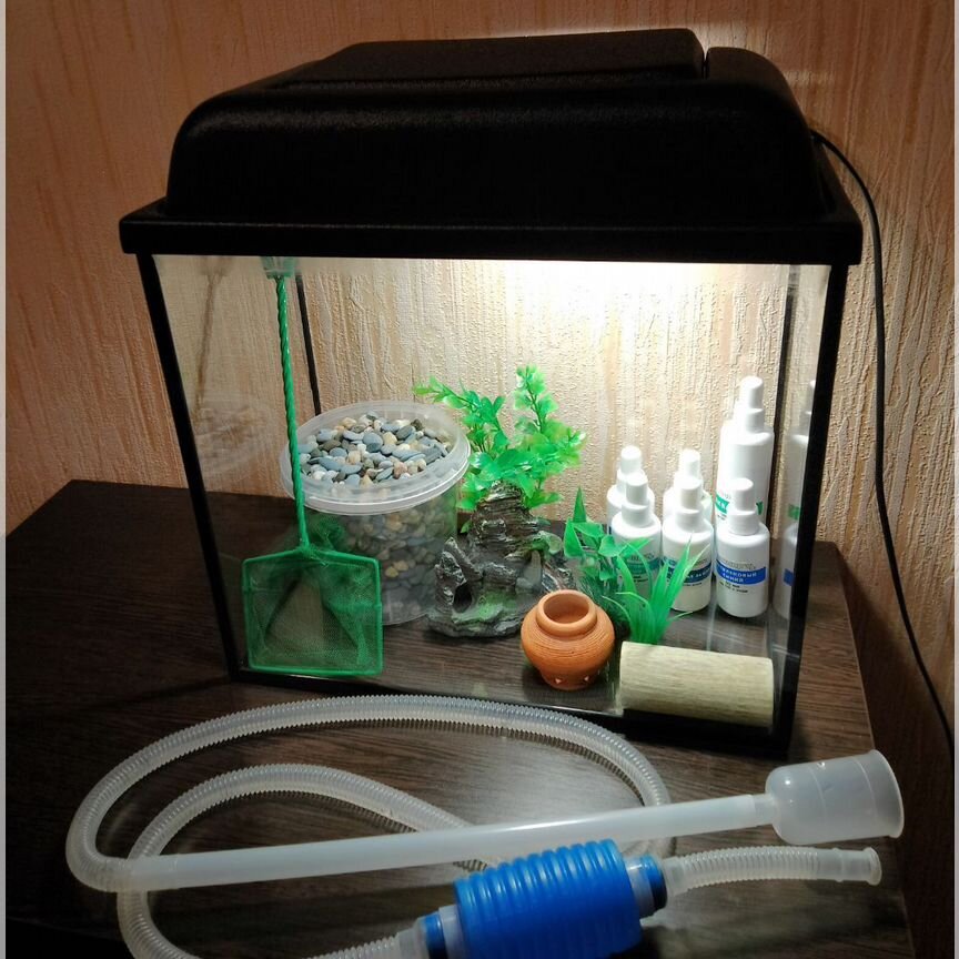 Аквариум и оборудование