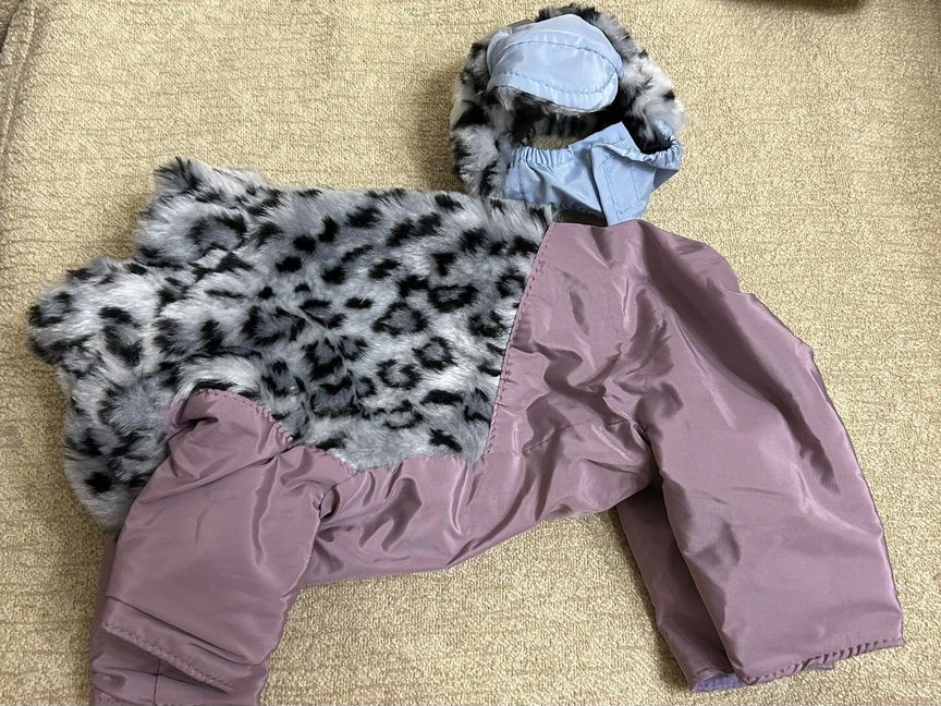 Одежда для собак мелких пород