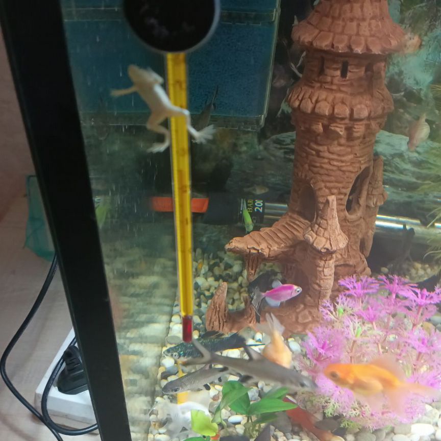 Аквариум