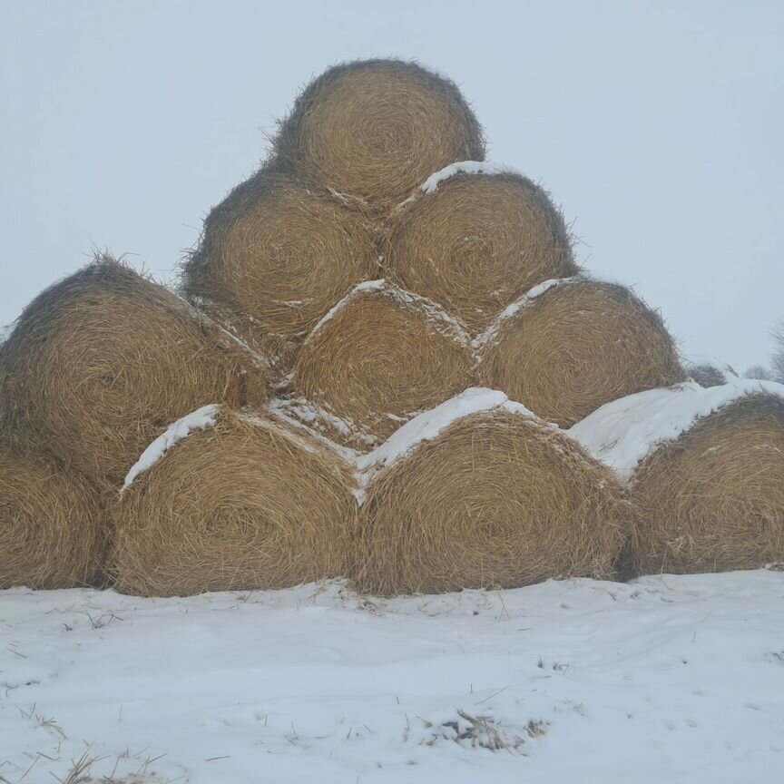 Солома в рулонах