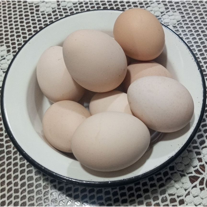 Домашние куриные яйца