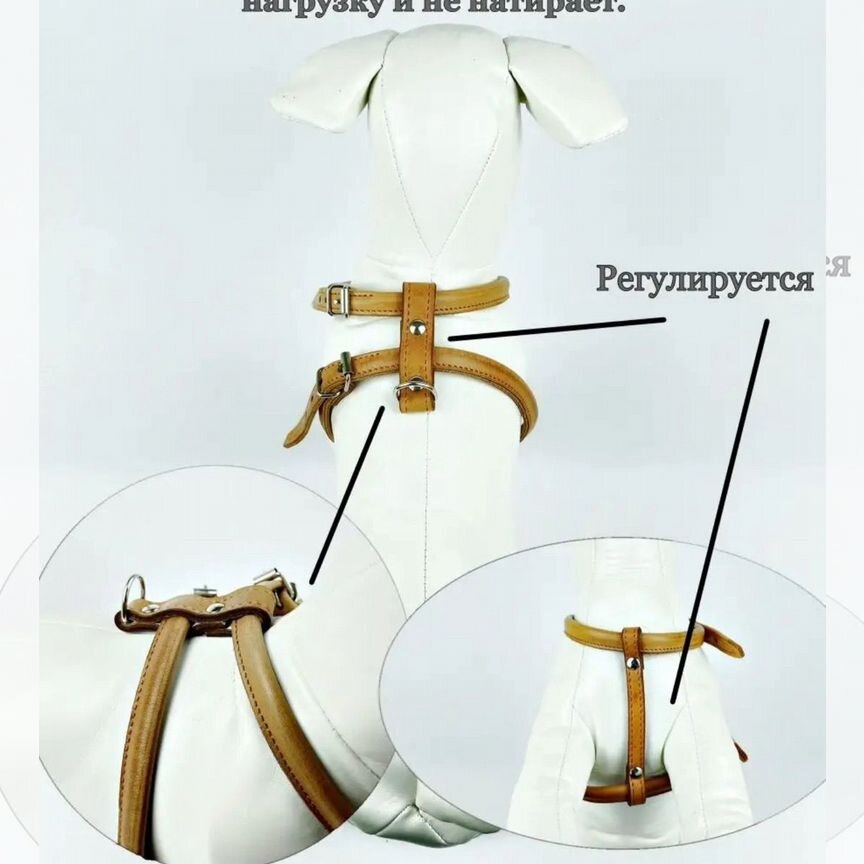 Шлейка круглая для собак