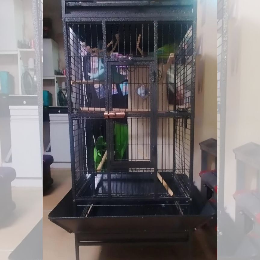 Большая клетка для попугая