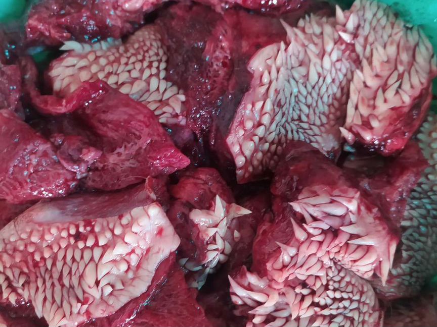 Мясо для собак