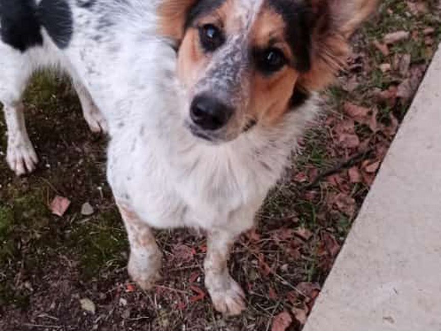 Добрая Умная Джуля 8 мес