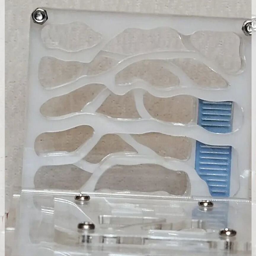 Дом для муравьёв