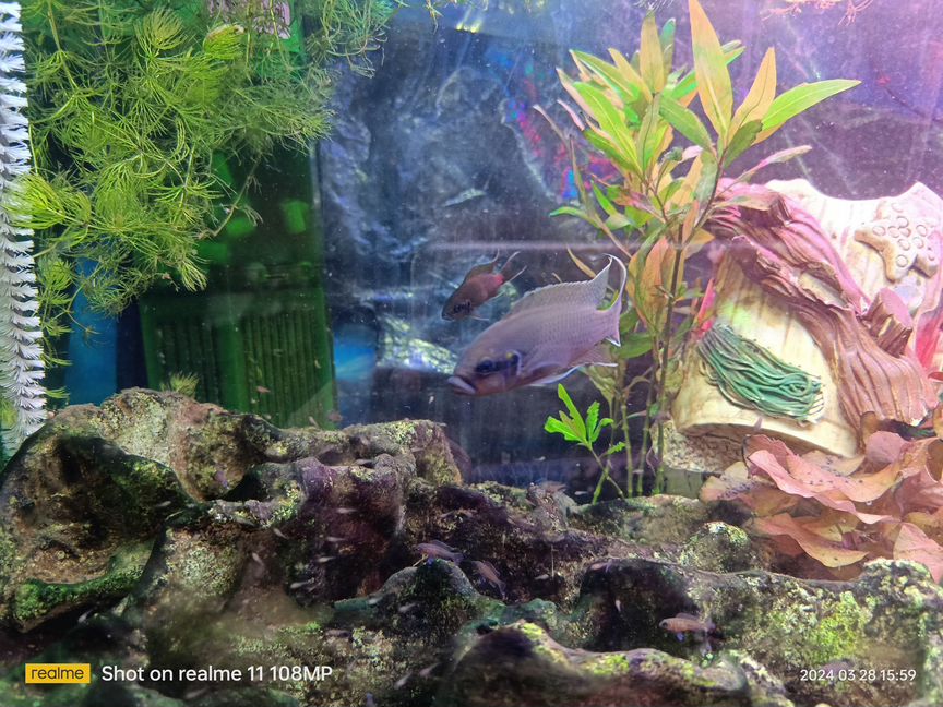 Принцесса Бурунди