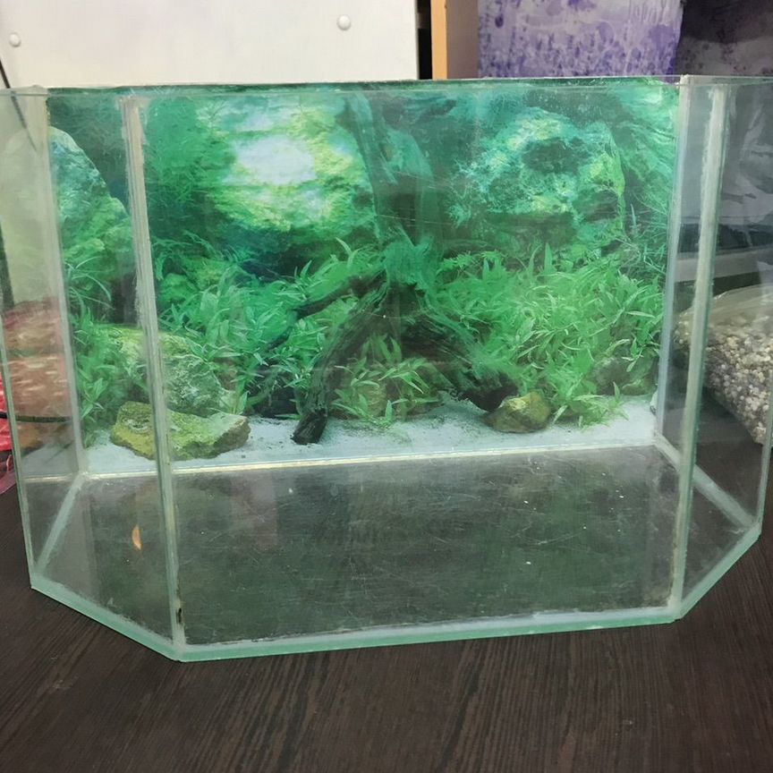 Аквариум 15 литров с крышкой