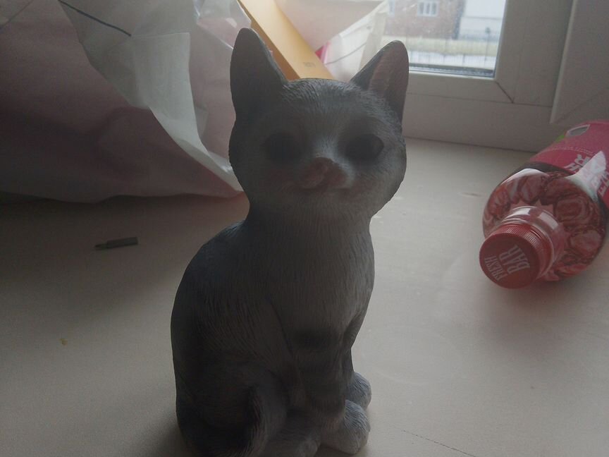 Канадский сфинкс котенок