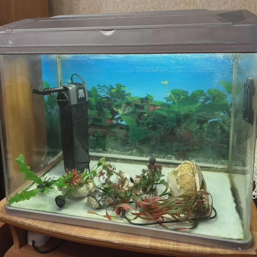 Аквариум 70 литров