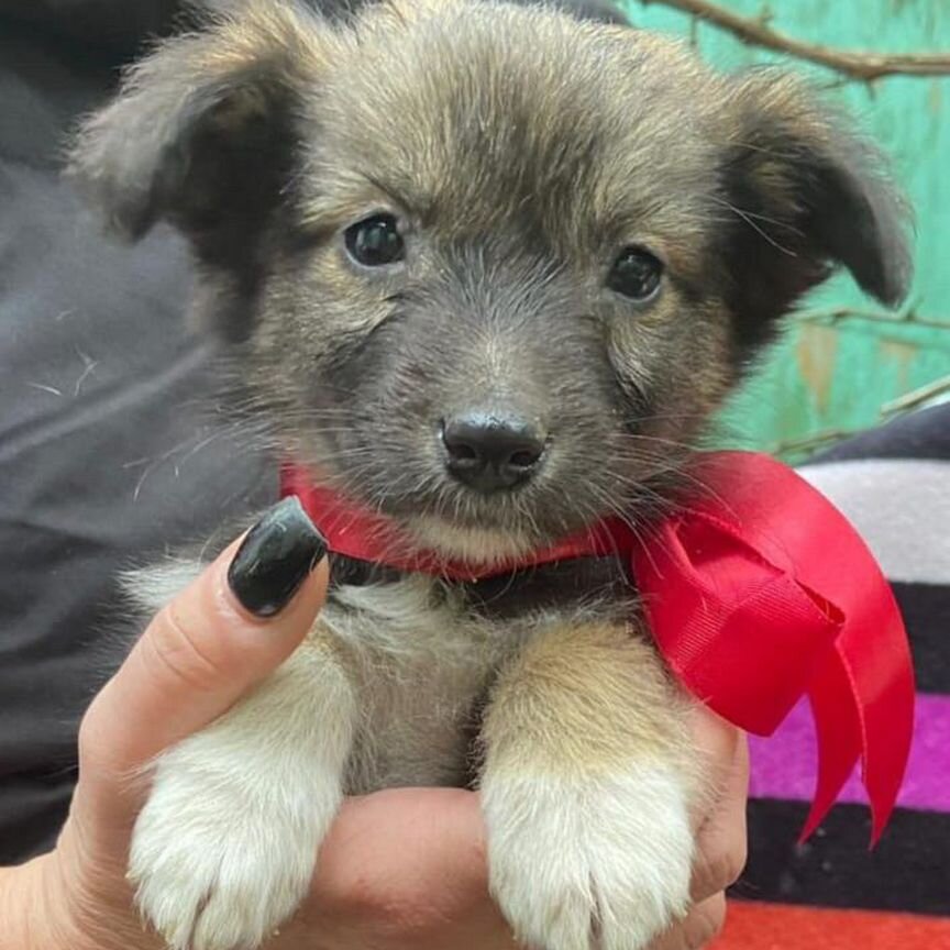 Крошка Тея в дар