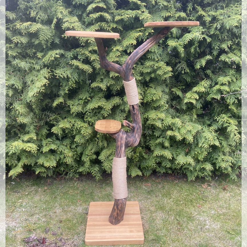 Когтеточка домик для кошки высокая