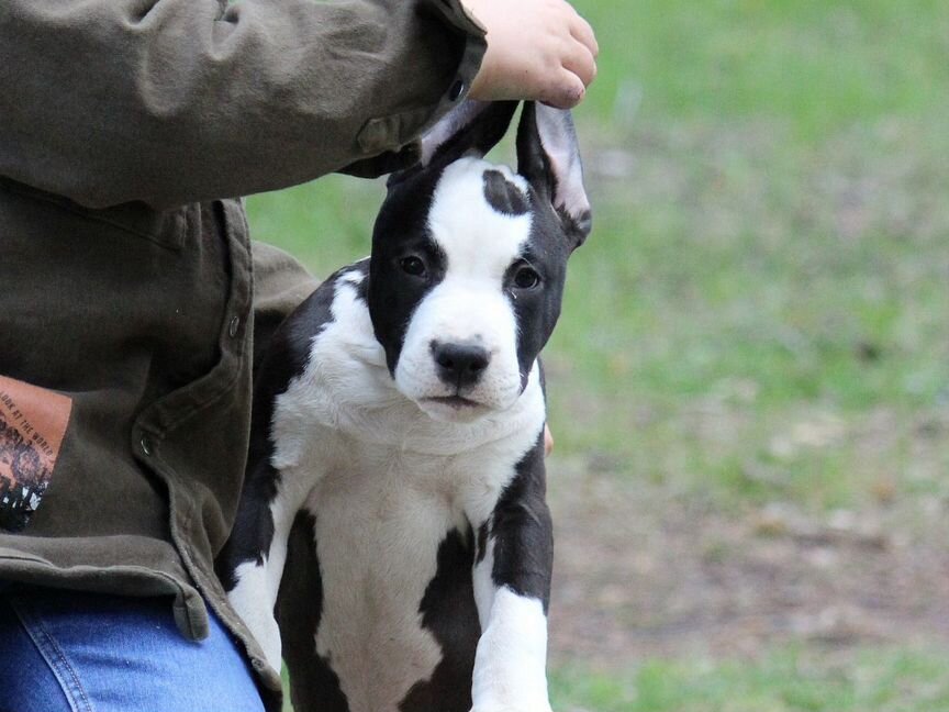 Очаровательный парнишка