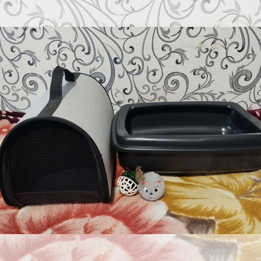 Набор для питомца (лоток   переноска)