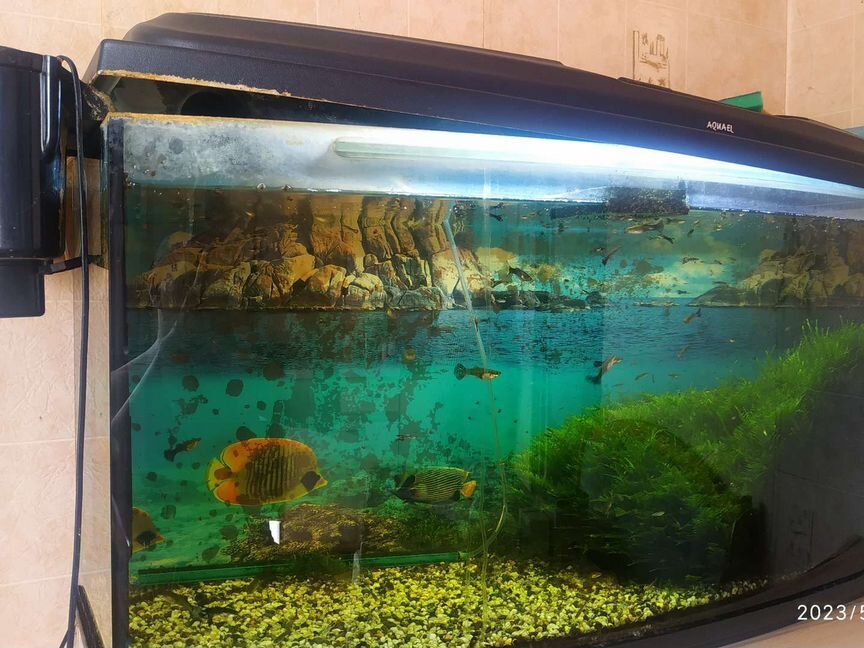 Аквариум 210л