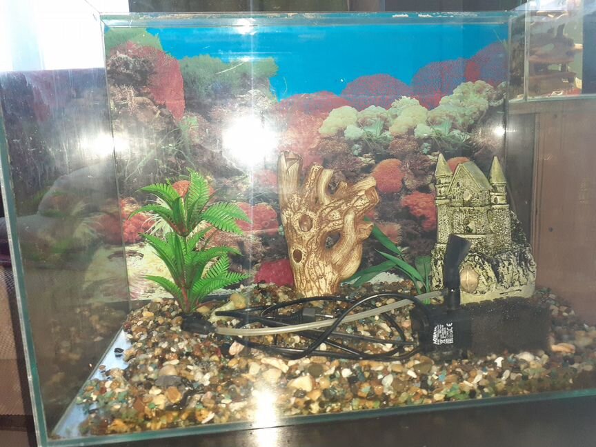 Продам аквариум