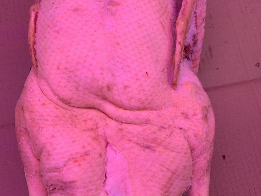 Индюки Утки гуси