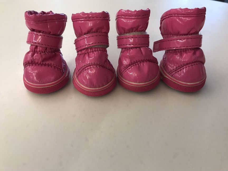 Кеды для собак Freedogs (Размер 3)