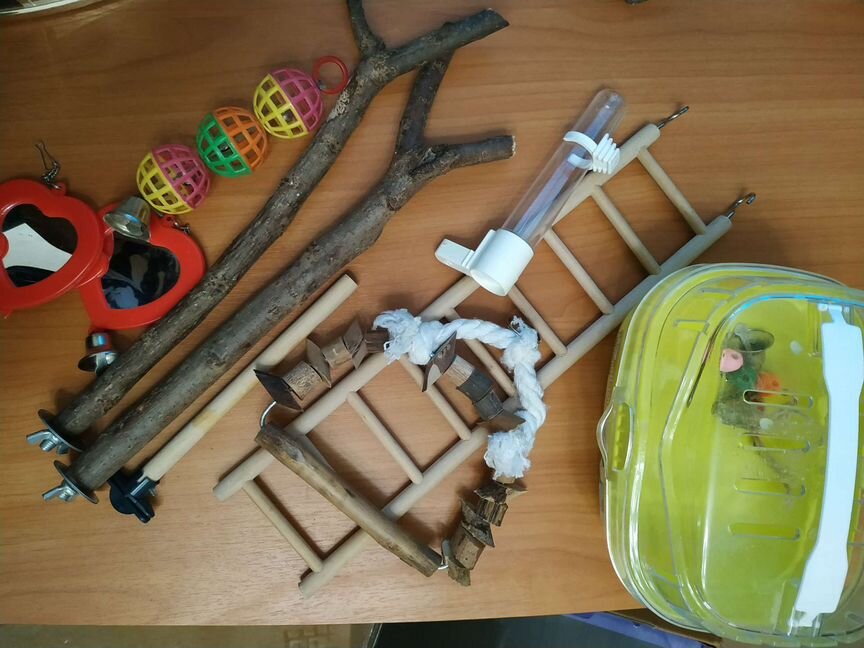 Качели для попугаев