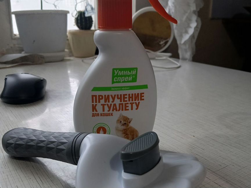 Набор для ухода за пушистым котенком