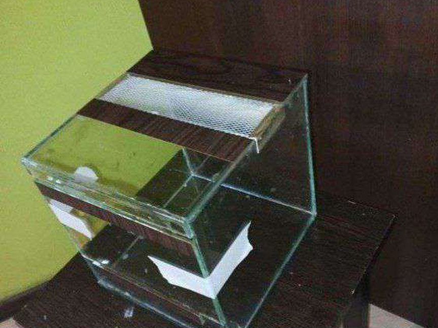 Террариумы разных размеров