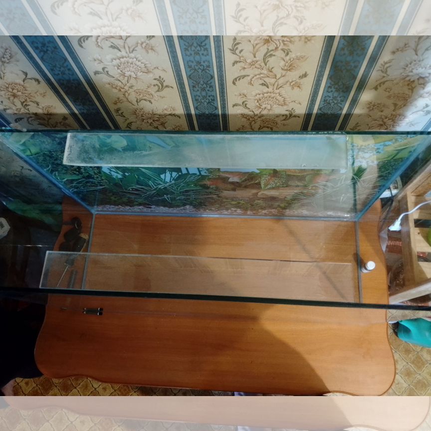 Аквариум 100 литров