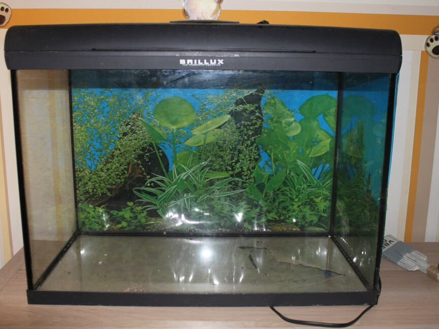 Аквариум brillux 60P