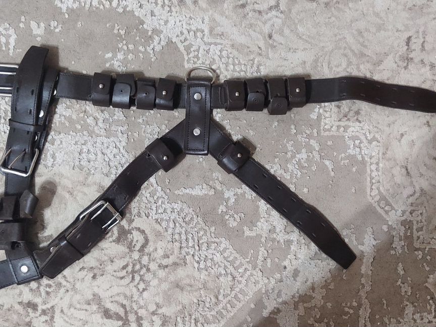 Шлейка с утяжелителями. Шлейка для больших собак