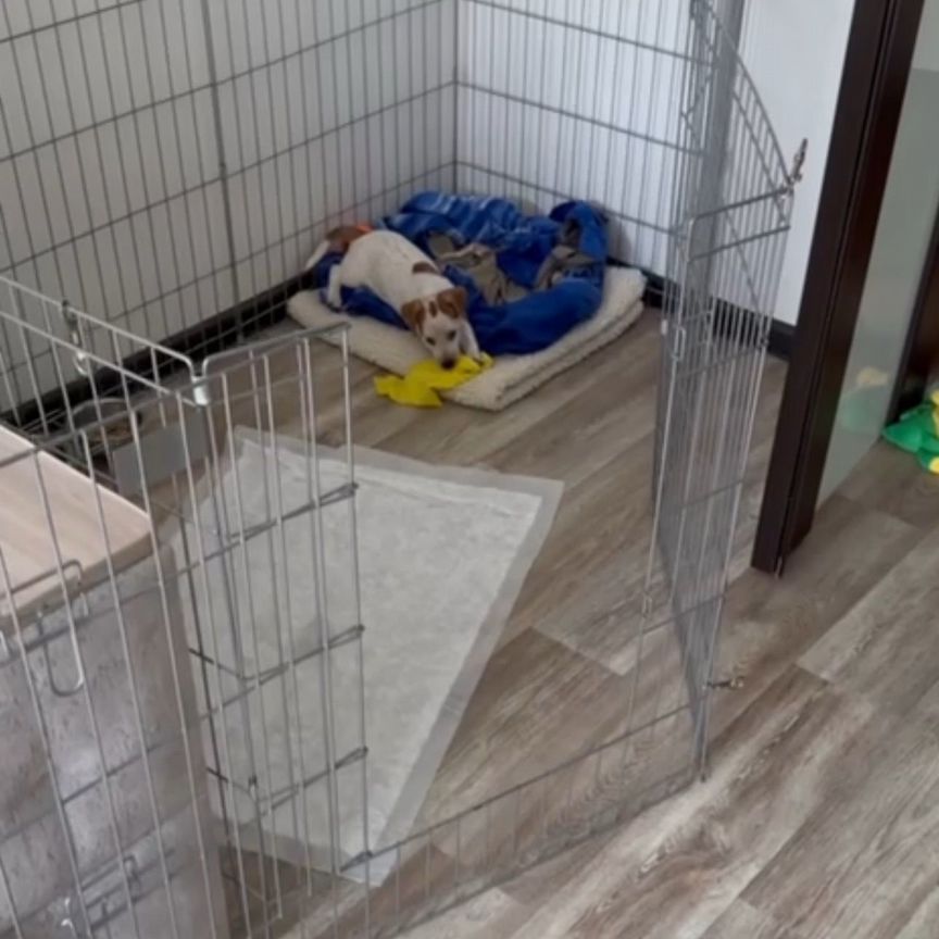 Клетка вольер сборный для животных