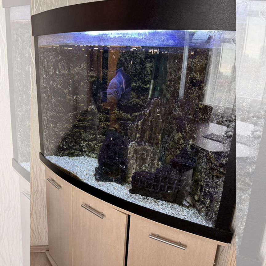 Аквариум с тумбой