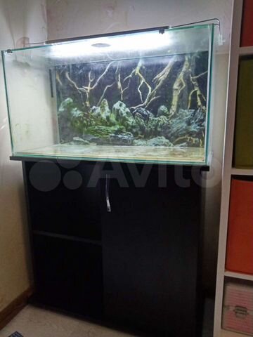 Аквариум