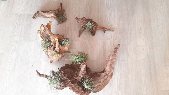 Природный декор