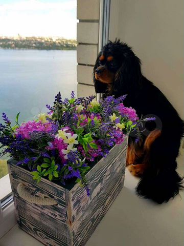 Клеймо есть