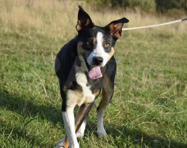 Василиса прекрасная ищет свою семью