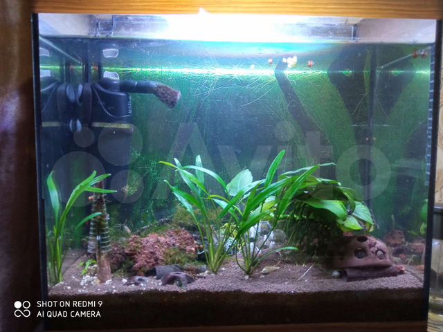 Аквариум 27л