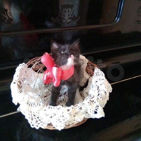 Очаровательные подарки к 8 марта