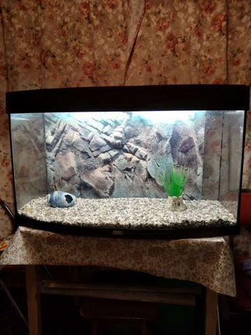 Аквариум панорамный juwel 200л