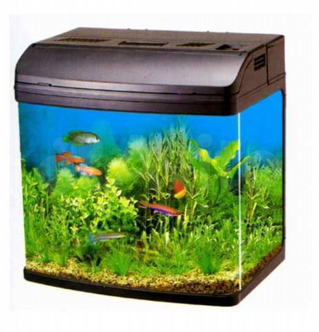 Аквариум Jebo 20л